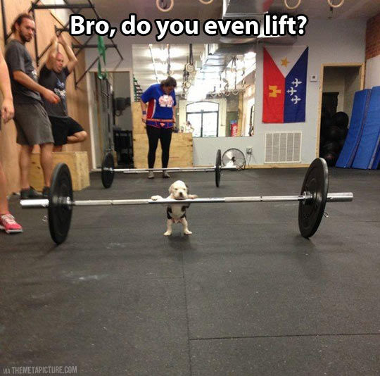 Do You Even Lift