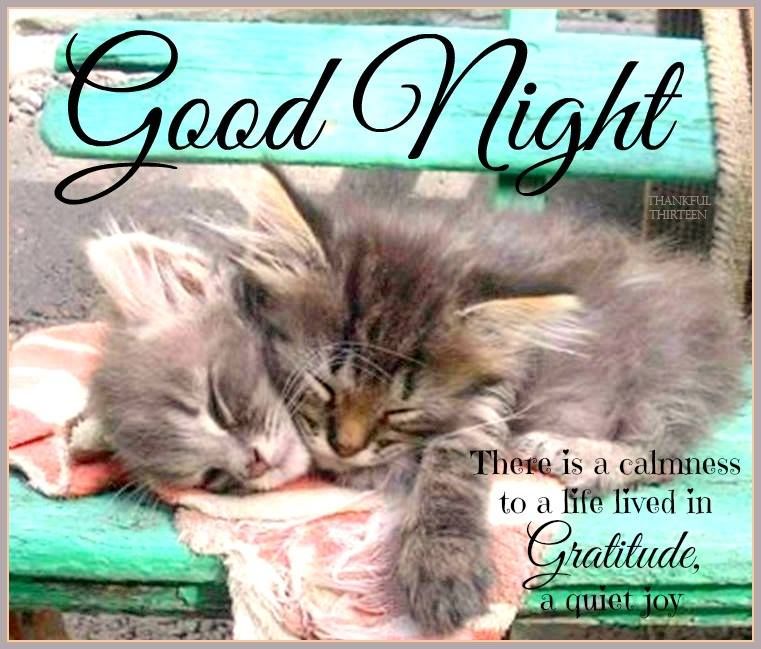 Good Night Pictures, Photos, and Images for Facebook, Tumblr, Pinterest ...