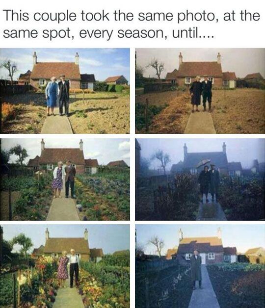 This Couple Took The Same Photo At The Same Spot Every Season Until ...