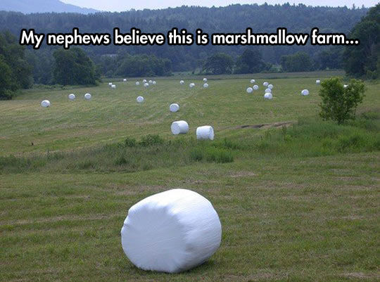 Marshmallow Farm Pictures, Photos, and Images for Facebook, Tumblr ...