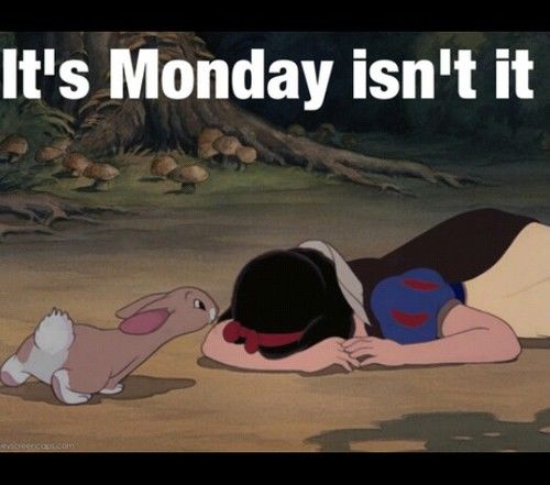 Its Monday Isnt It Pictures, Photos, and Images for Facebook, Tumblr ...