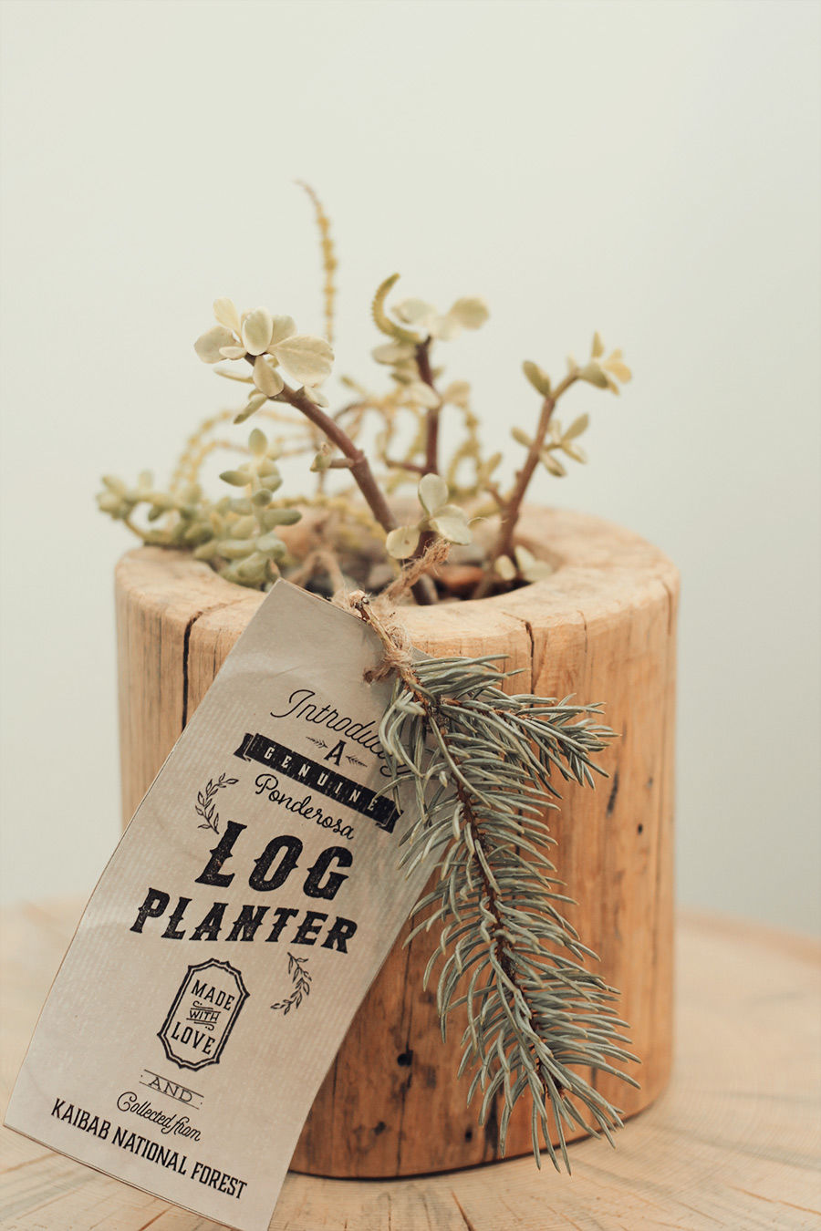 Great Log Planter Pictures, Photos, and Images for Facebook, Tumblr ...