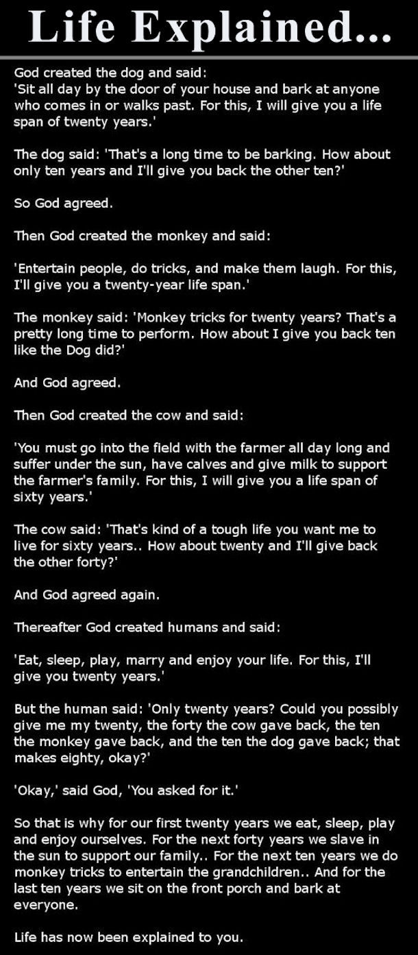 Life Explained Pictures, Photos, and Images for Facebook, Tumblr ...