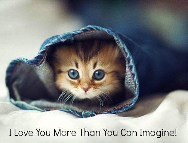 I Love You More Than You Can Imagine Pictures, Photos, and Images for ...
