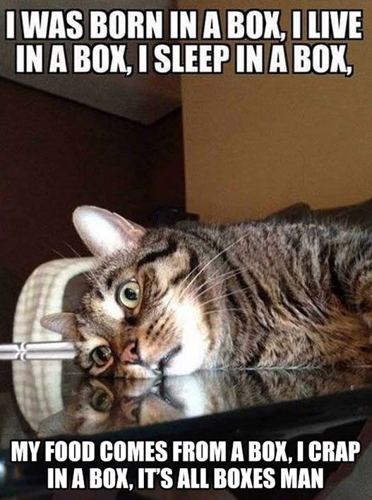 Its All Boxes Pictures, Photos, and Images for Facebook, Tumblr ...