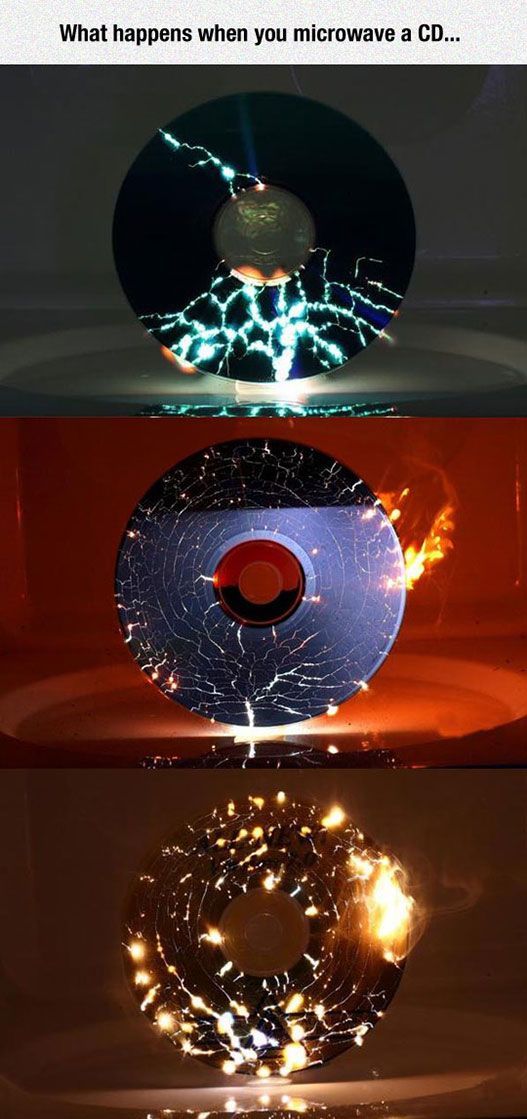 What Happens When You Microwave A CD Pictures, Photos, and Images for ...