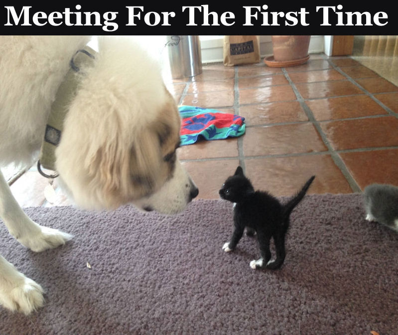 Meeting For The First Time Pictures, Photos, and Images for Facebook ...