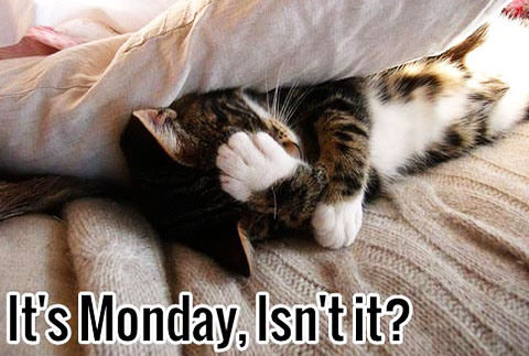 Its Monday, Isn't It? Pictures, Photos, and Images for Facebook, Tumblr ...