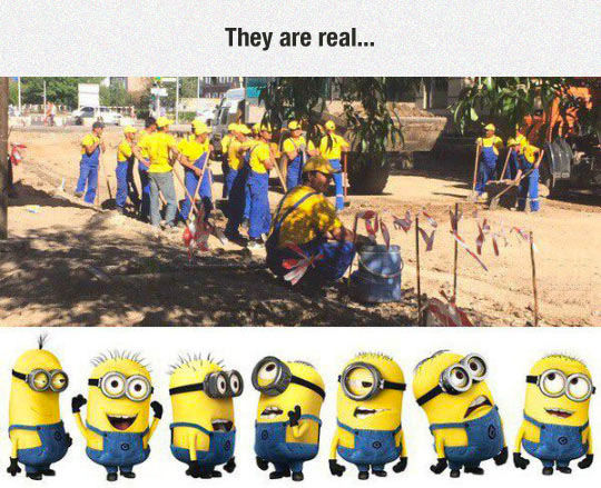 Minions Are Real Pictures, Photos, and Images for Facebook, Tumblr ...