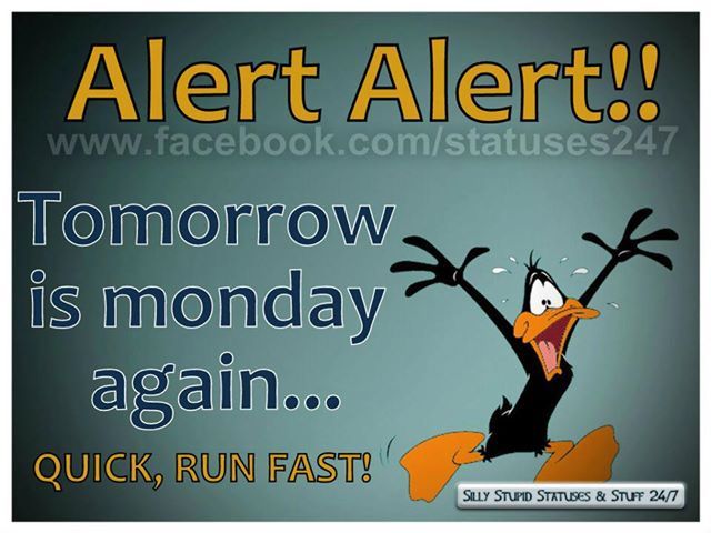 Alert Tomorrow Is Monday Pictures, Photos, and Images for Facebook ...