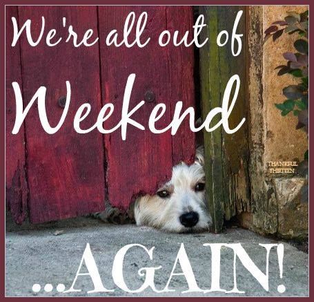 We're All Out Of Weekend Again Pictures, Photos, and Images for ...