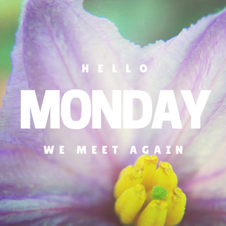 Hello Monday Pictures, Photos, and Images for Facebook, Tumblr ...