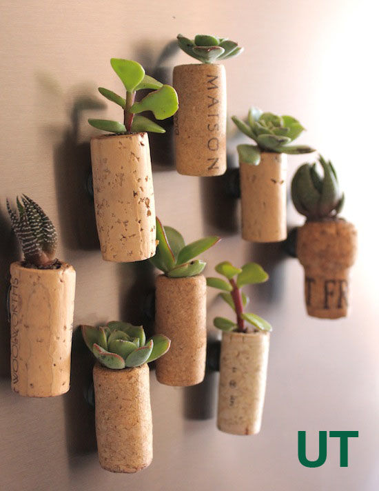 Cork Planters Pictures, Photos, and Images for Facebook, Tumblr ...