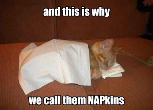 This Is Why We Call Them Napkins Pictures, Photos, and Images for ...