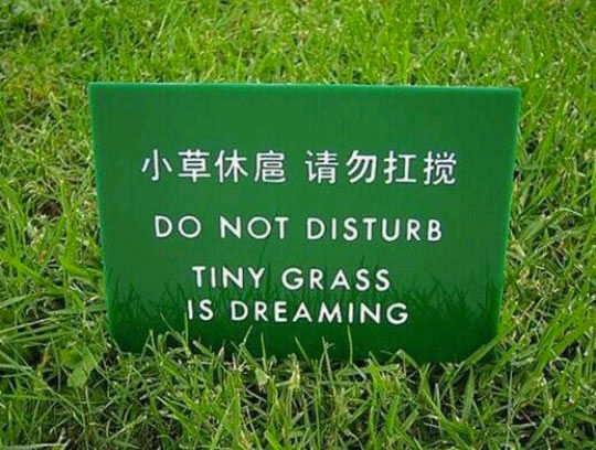 Say Sorry To The Grass Pictures, Photos, and Images for Facebook ...
