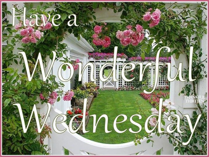 Have A Wonderful Wednesday Pictures, Photos, and Images for Facebook ...