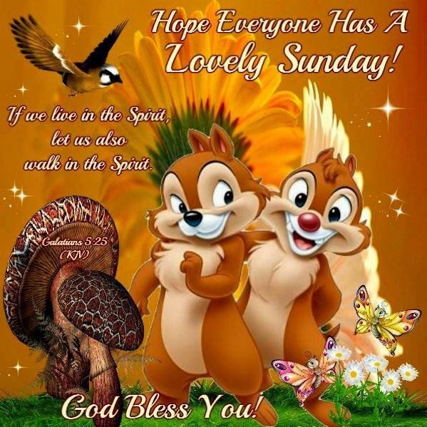 Hope Everyone Has A Lovely Sunday Pictures, Photos, and Images for ...