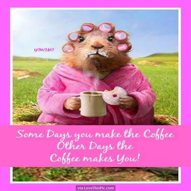 Some Days You Make The Coffee Others The Coffee Makes YOu Pictures ...