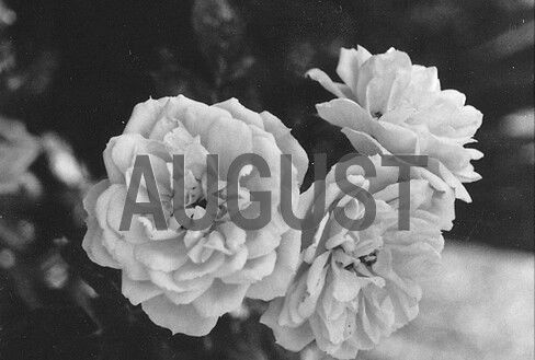 August Pictures, Photos, and Images for Facebook, Tumblr, Pinterest ...