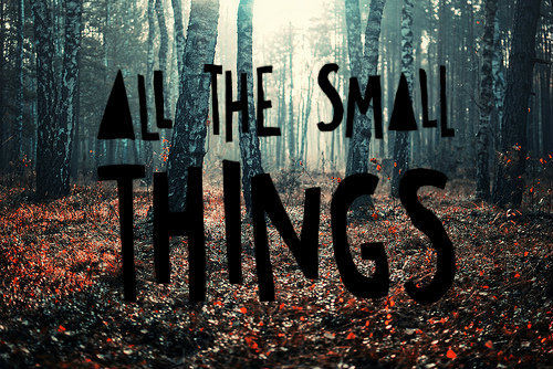 All The Small Things Pictures, Photos, and Images for Facebook, Tumblr ...