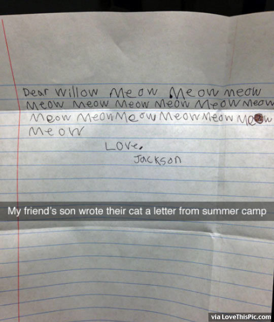 Dear Cat Pictures, Photos, and Images for Facebook, Tumblr, Pinterest ...