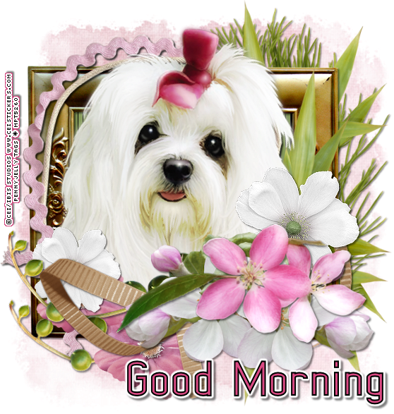 Good Morning Pictures, Photos, and Images for Facebook, Tumblr ...