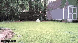 Dog Goes Flying Pictures, Photos, and Images for Facebook, Tumblr ...