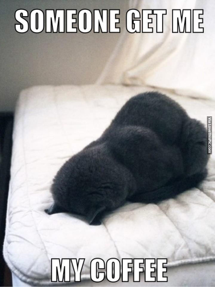 Someone Get My Coffee Pictures, Photos, and Images for Facebook, Tumblr ...