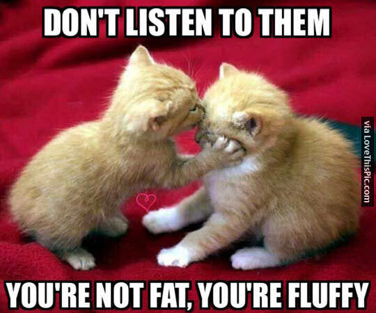 You Are Not Fat You Are Fluffy Pictures, Photos, and Images for ...