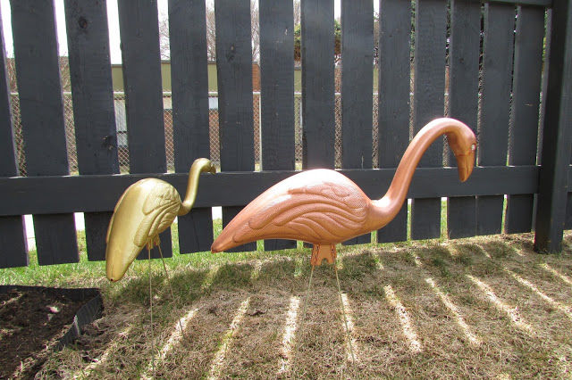 Golden Flamingos Pictures, Photos, and Images for Facebook, Tumblr ...