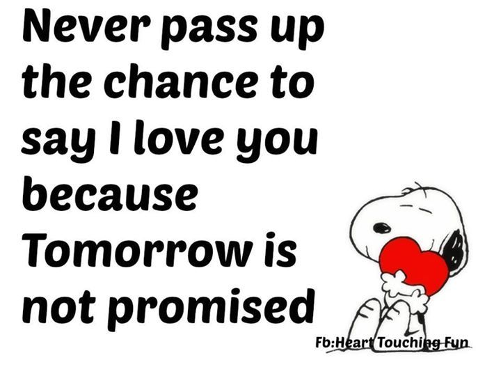 Never Pass Up A Chance To Say I Love You Because Tomorrow Is Never ...