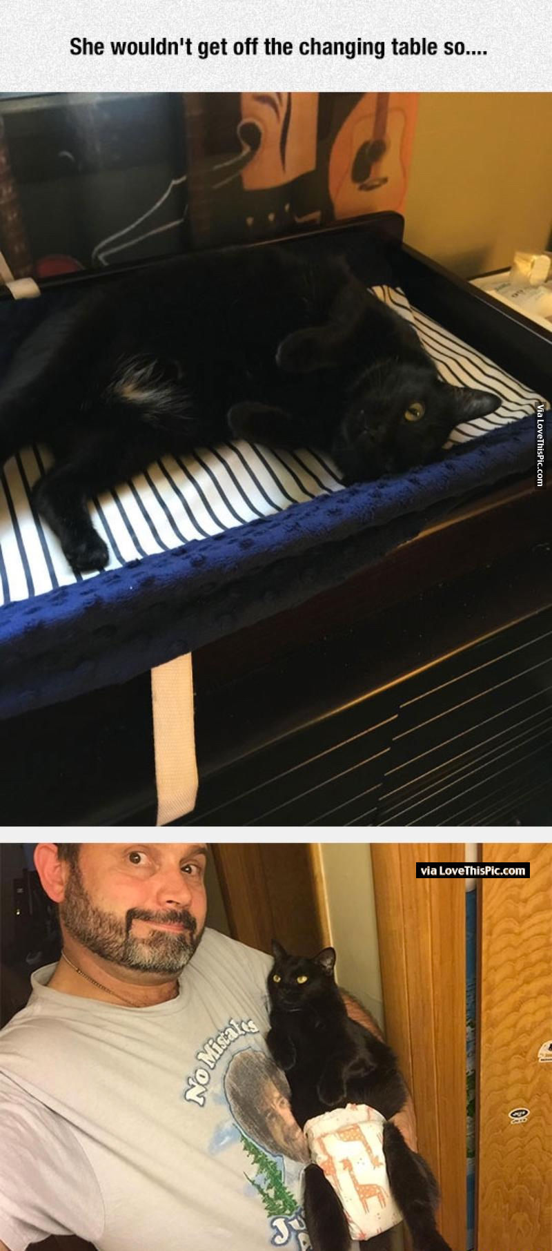 Cat Wanted To Get Changed Pictures, Photos, and Images for Facebook ...