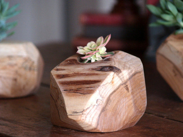 Rustic Cactus Pot Pictures, Photos, and Images for Facebook, Tumblr ...