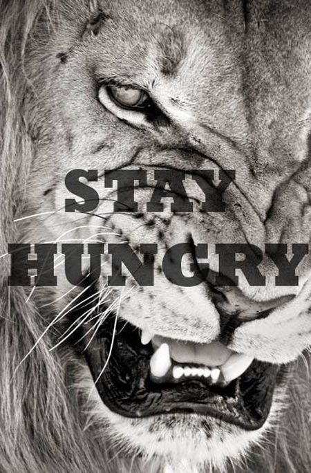 Stay Hungry Pictures, Photos, and Images for Facebook, Tumblr ...