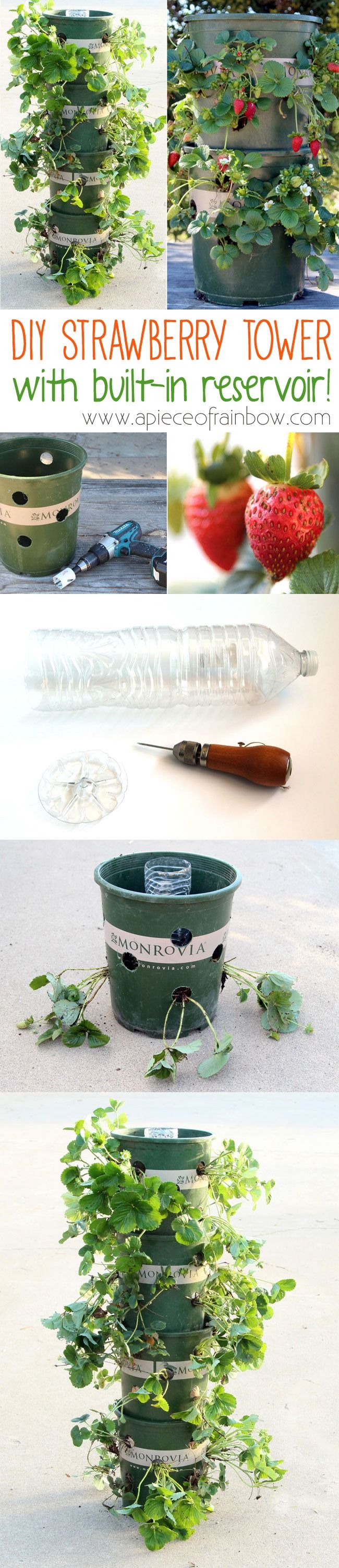 DIY Strawberry Tower Pictures, Photos, and Images for Facebook, Tumblr ...