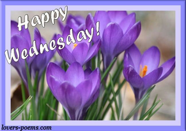 Happy Wednesday Pictures, Photos, and Images for Facebook, Tumblr ...