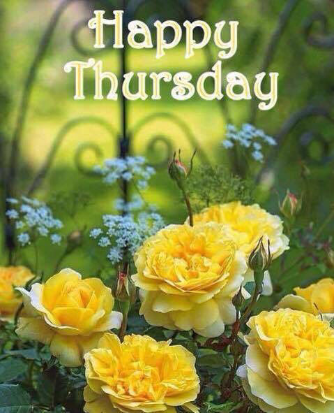 Happy Thursday Pictures, Photos, and Images for Facebook, Tumblr ...