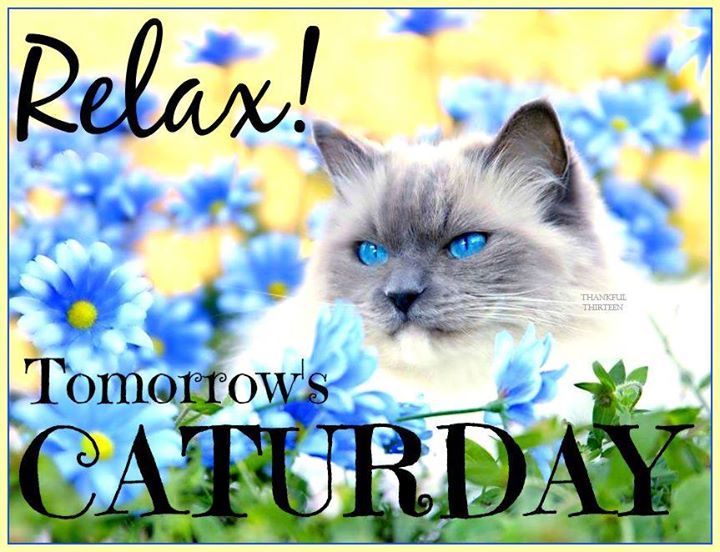 Relax Tomorrow Is Saturday Pictures, Photos, and Images for Facebook ...