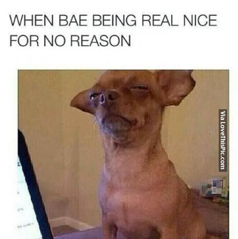 Cute Bae Memes