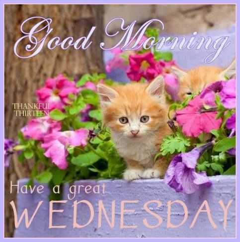 Happy Spring Wednesday