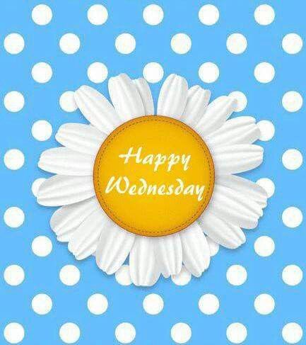 Happy Wednesday Flower Pictures, Photos, and Images for Facebook ...