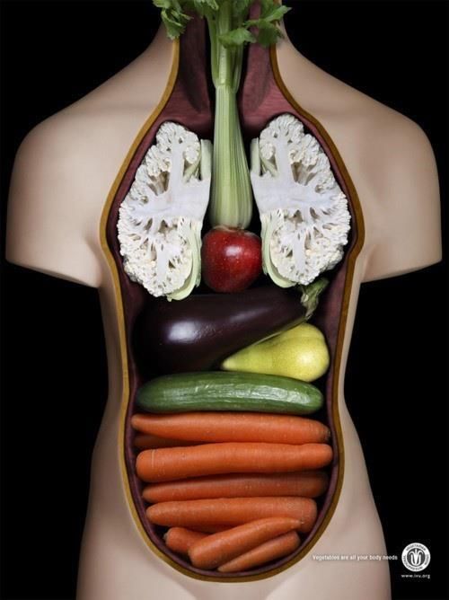 What A Healthy Body Looks Like... Pictures, Photos, and Images for ...