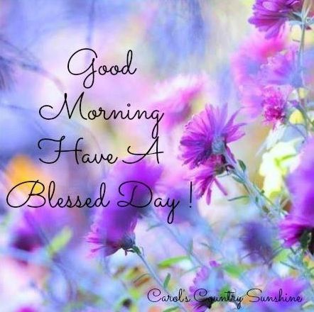 Good Morning Have A Blessed Day Pictures, Photos, and Images for ...