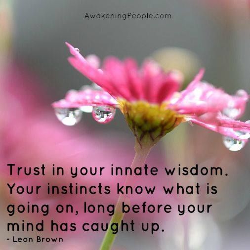 Wisdom Pictures, Photos, and Images for Facebook, Tumblr, Pinterest ...