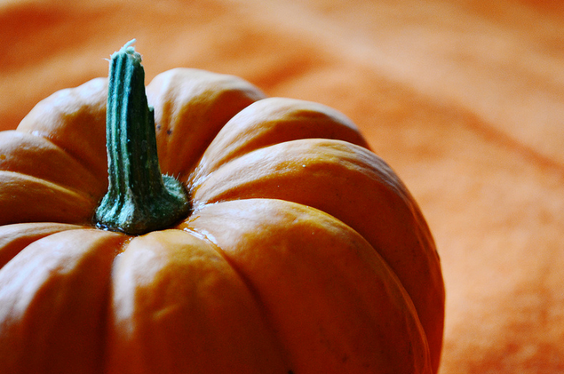 Pumpkin Closeup Pictures, Photos, and Images for Facebook, Tumblr ...