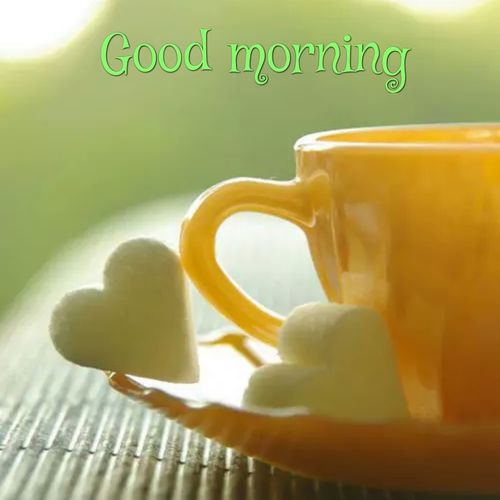 Good Morning Pictures, Photos, and Images for Facebook, Tumblr ...