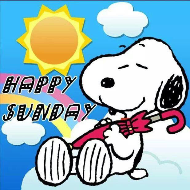 Happy Sunday Pictures, Photos, and Images for Facebook, Tumblr ...