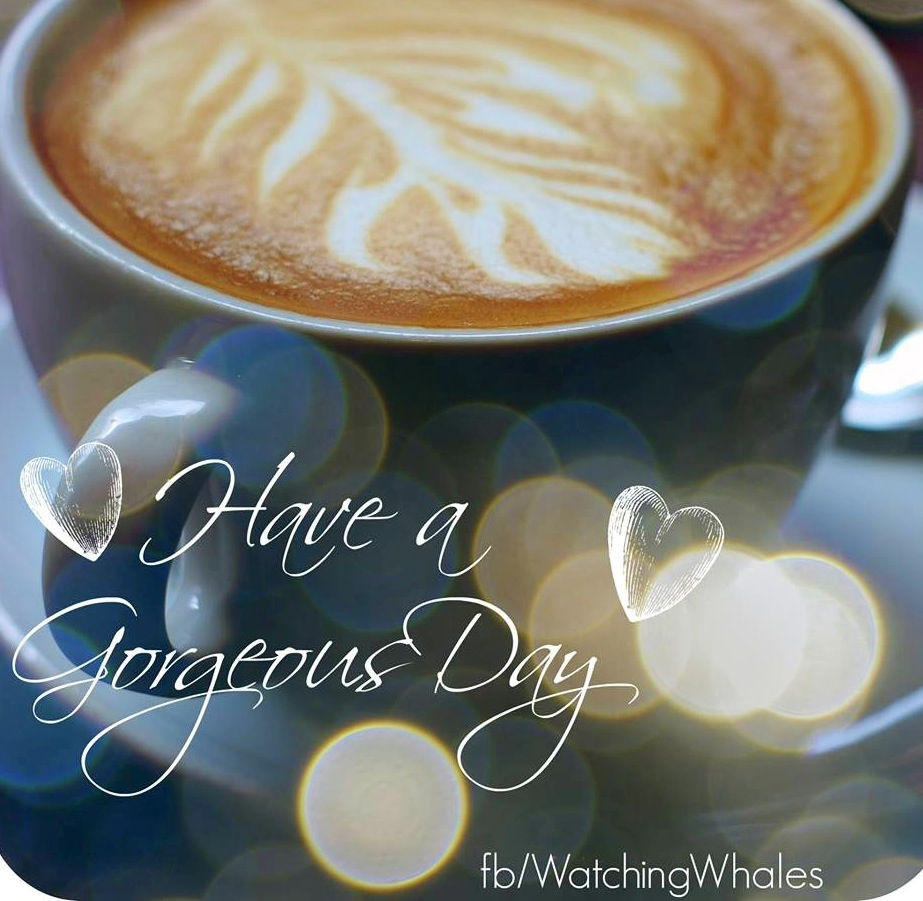 Have A Gorgeous Day Pictures, Photos, and Images for Facebook, Tumblr ...