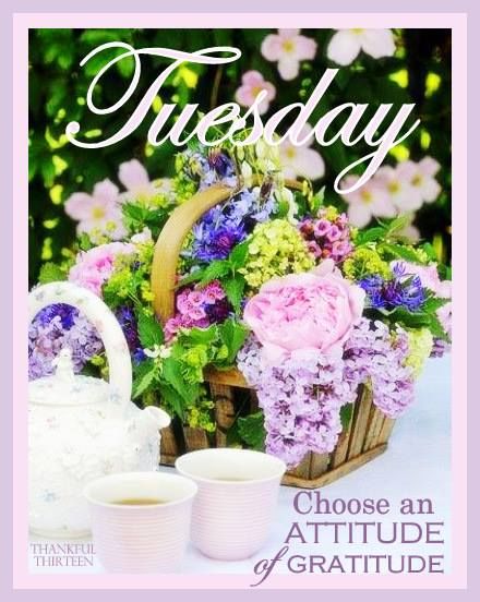 Tuesday Attiitude Of Gratitude Pictures, Photos, and Images for ...