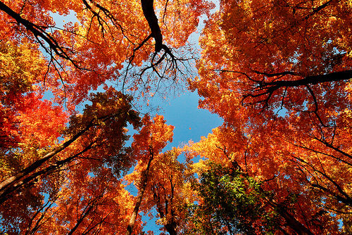 Fall Sky Pictures, Photos, and Images for Facebook, Tumblr, Pinterest ...